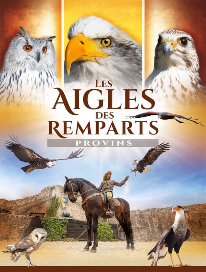 Les Aigles des Remparts - Provins Tourisme, entre Bassée, Montois et Morin